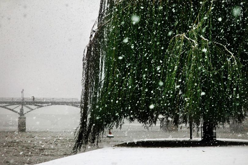Christophe Jacrot -Under the rain - The Eye of Photography Magazine