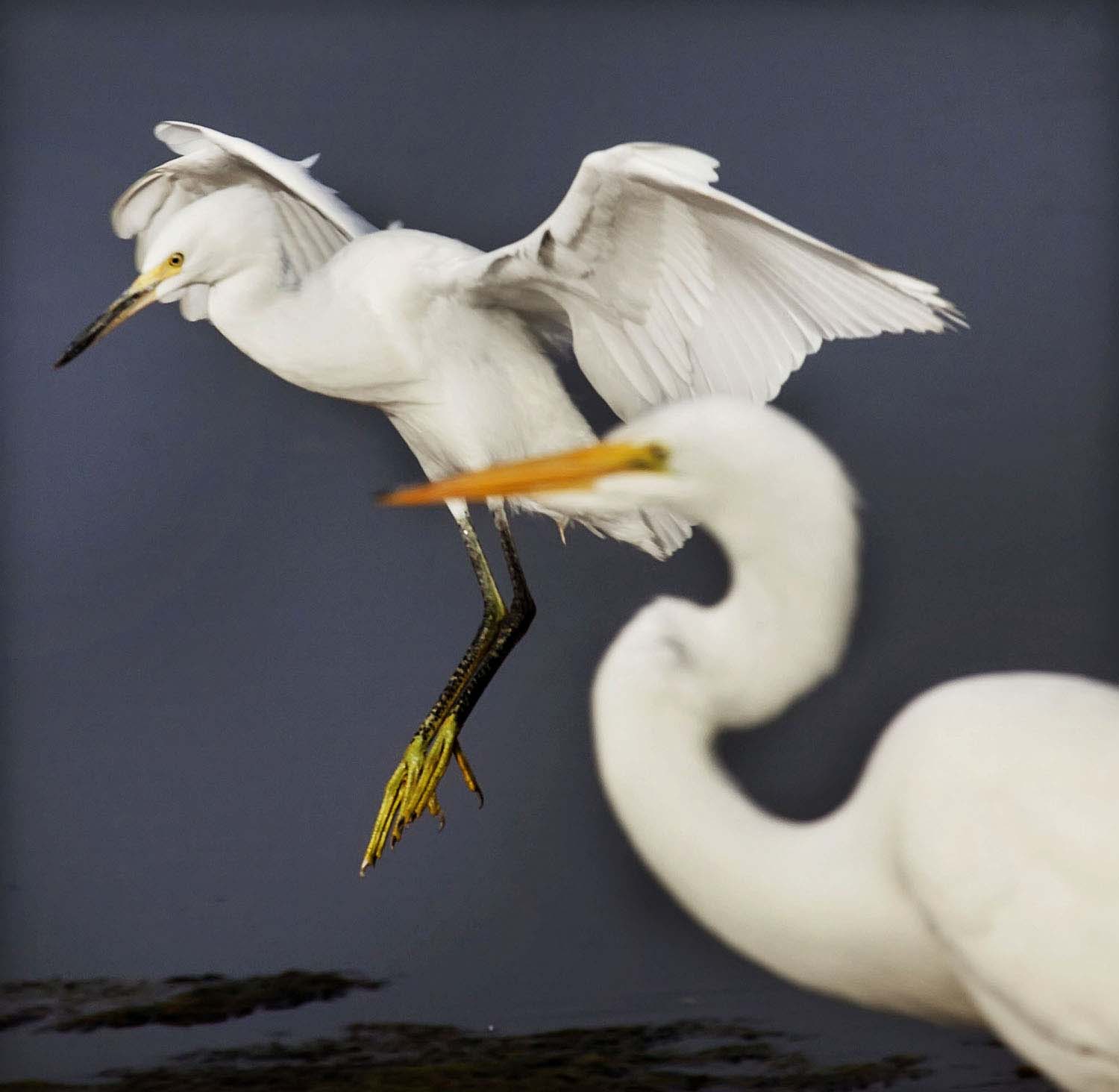 Your holiday pictures, David Hume Kennerly - The Eye of Photography ...