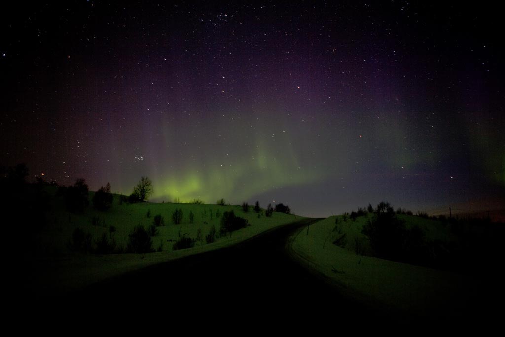 Visa pour l'image 2012: Erika Larsen - The Eye of Photography Magazine