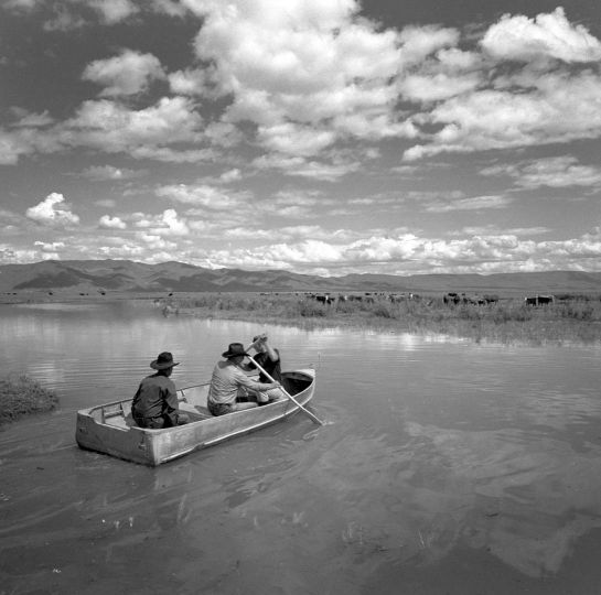 Adam Jahiel - In search of the last cowboy - The Eye of Photography ...
