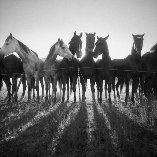 Adam Jahiel - In search of the last cowboy - The Eye of Photography ...