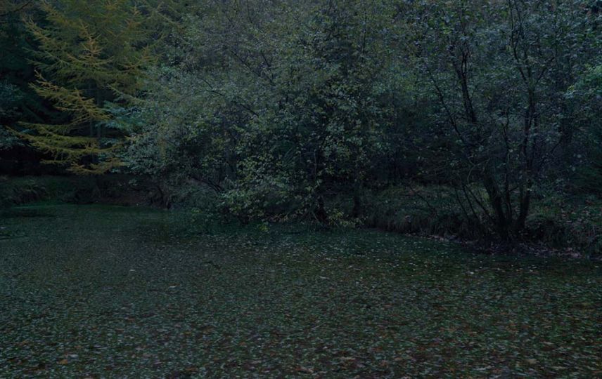 Michael Lange : Forest, Landscapes of Memory - The Eye of Photography ...