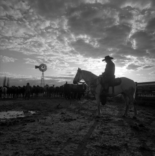 Adam Jahiel - In search of the last cowboy - The Eye of Photography ...