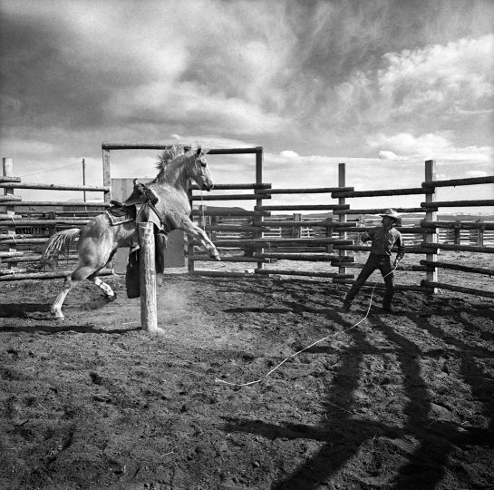 Adam Jahiel - In search of the last cowboy - The Eye of Photography ...