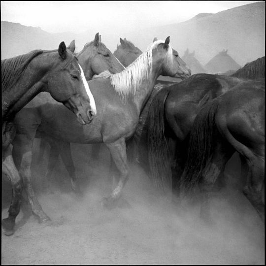 Adam Jahiel - In search of the last cowboy - The Eye of Photography ...