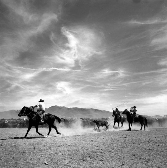 Adam Jahiel - In search of the last cowboy - The Eye of Photography ...