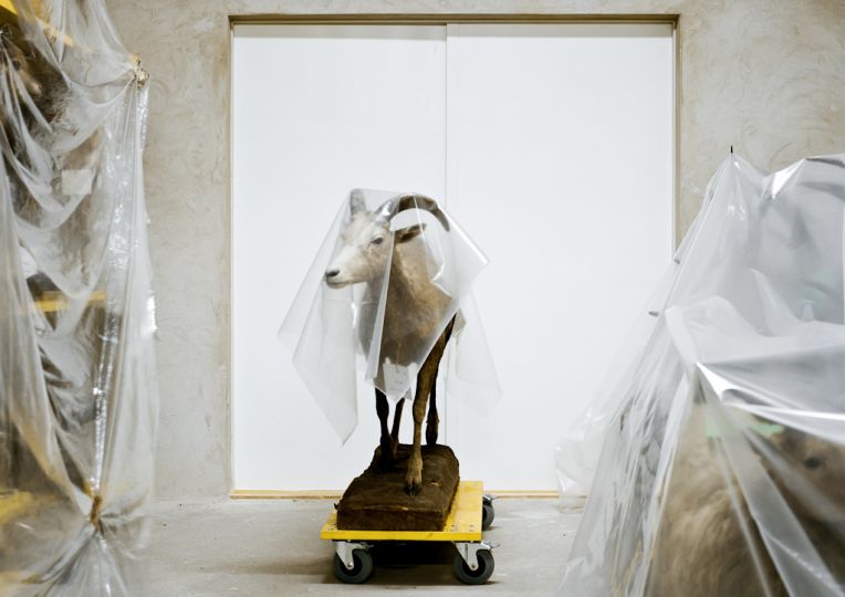 Circulation(s) 2013 -Klaus Pichler - The Eye of Photography Magazine