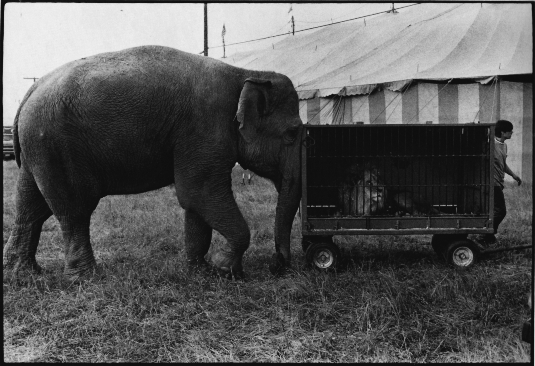 Jill Freedman: -Circus Days - The Eye of Photography Magazine