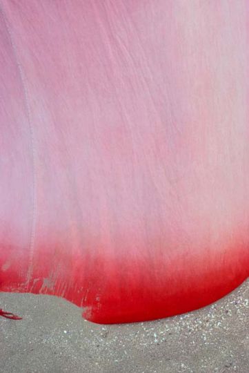 John Batho-Un maitre de la couleur - The Eye of Photography Magazine