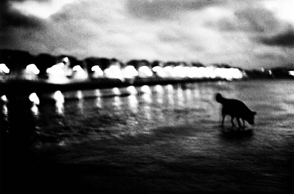 Paris Photo LA 2013: -Louis Stern Gallery - The Eye of Photography Magazine