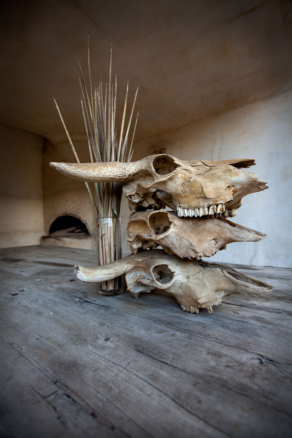 Phillip Dixon between genius and hermit - The Eye of Photography Magazine