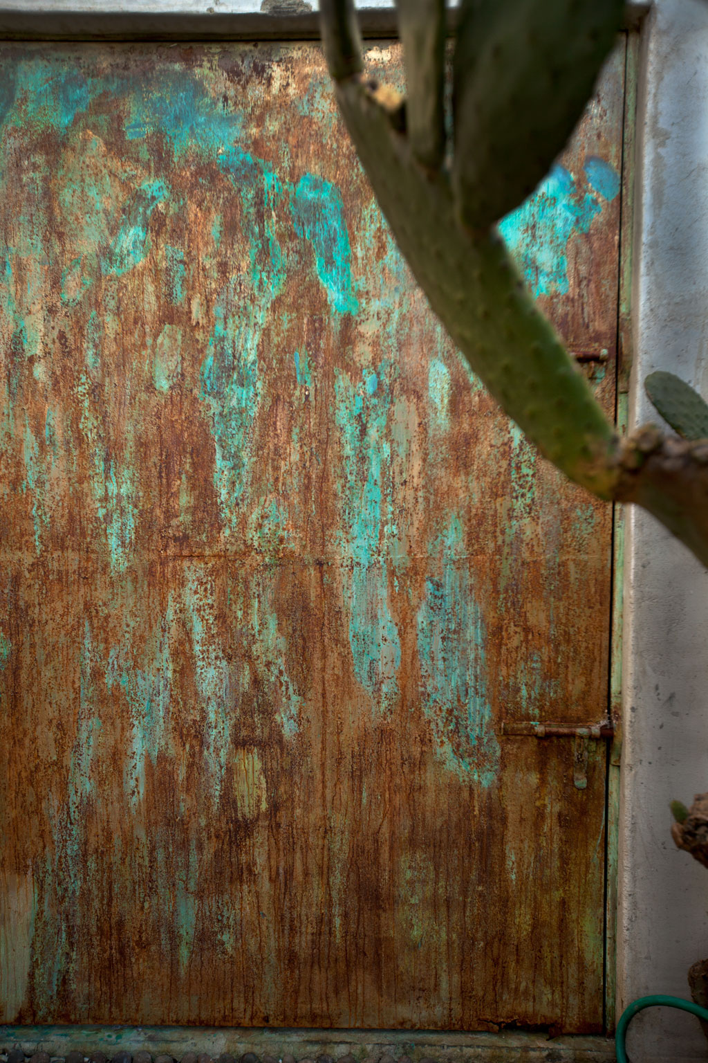 Phillip Dixon between genius and hermit - The Eye of Photography Magazine