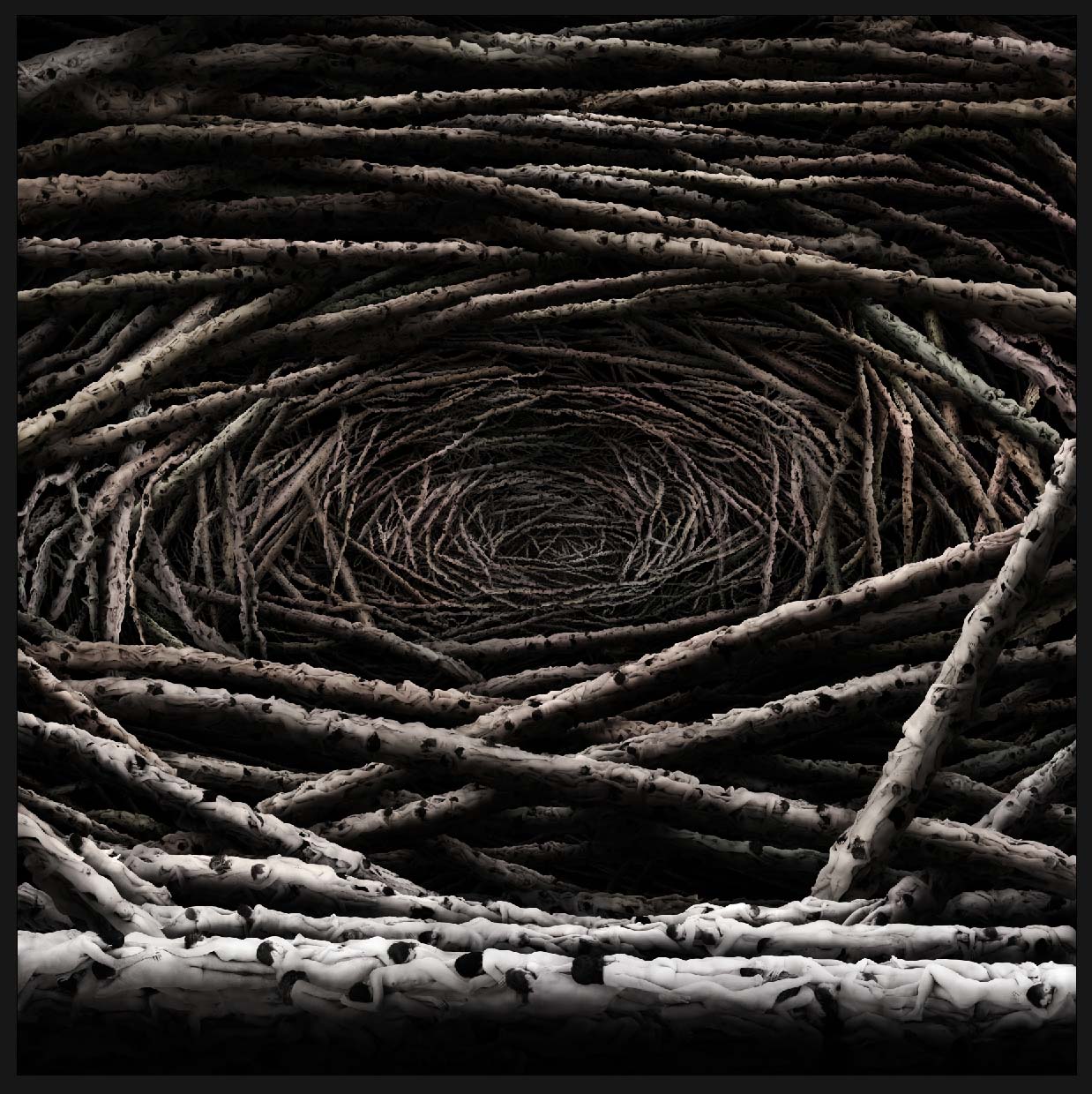 Angelo Musco: -Cortex System - The Eye of Photography Magazine