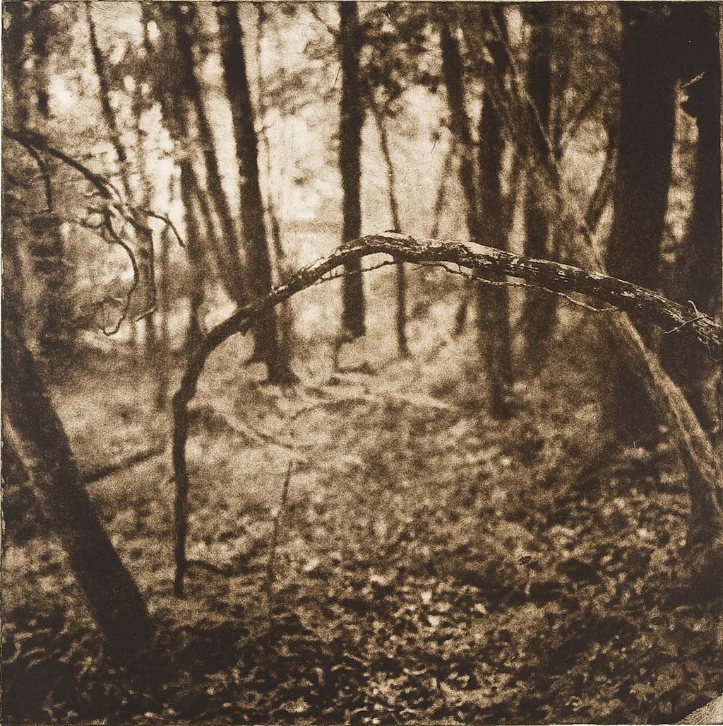 Pierre Cambon: -Jeter l'encre - The Eye of Photography Magazine