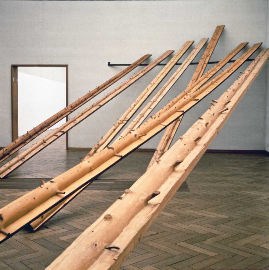 Arles 2013: -Guiseppe Penone - L'Œil de la Photographie Magazine