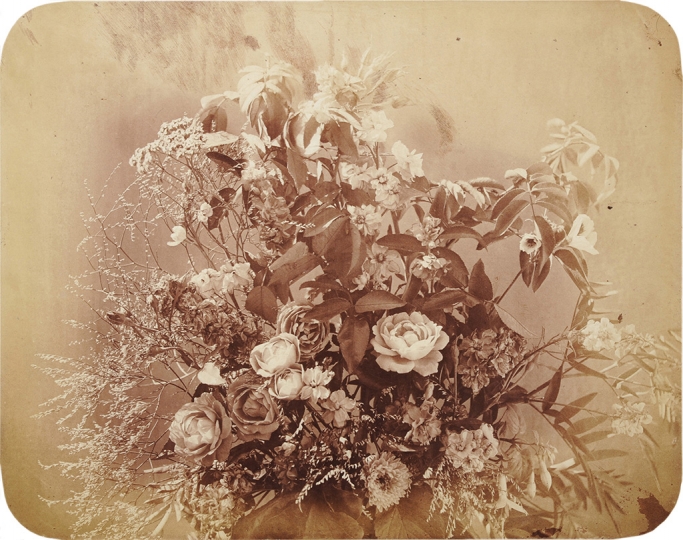 Adolphe Braun - The Eye of Photography Magazine