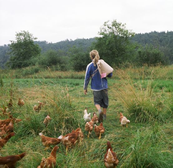 Anna Mia Davidson: Human Nature at Howard Greenberg Gallery - The Eye ...