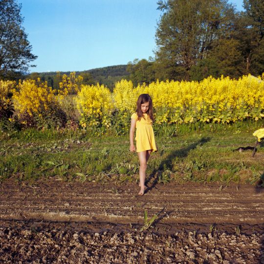 Anna Mia Davidson: Human Nature at Howard Greenberg Gallery - The Eye ...