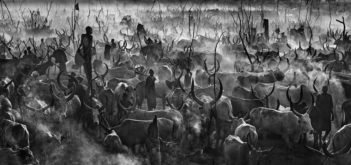 David Yarrow - The Eye of Photography Magazine