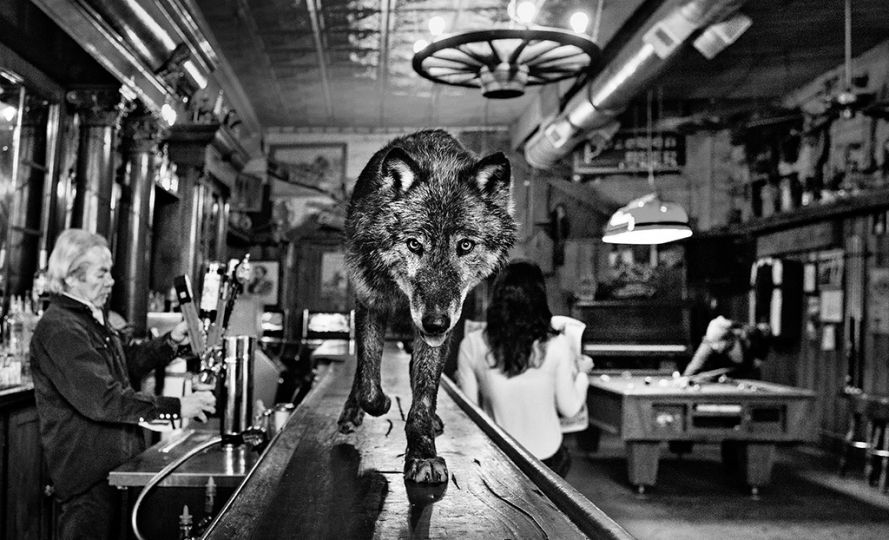 David Yarrow - The Eye of Photography Magazine