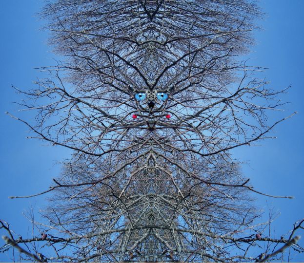 Michael Jantzen - The Eye of Photography Magazine