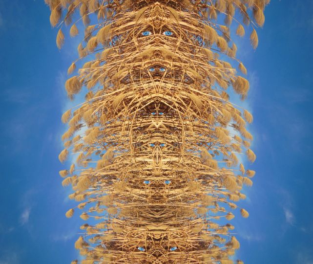 Michael Jantzen - The Eye of Photography Magazine