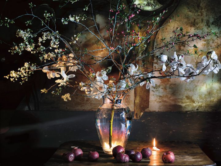 Vera Mercer : Life - L'Œil de la Photographie Magazine