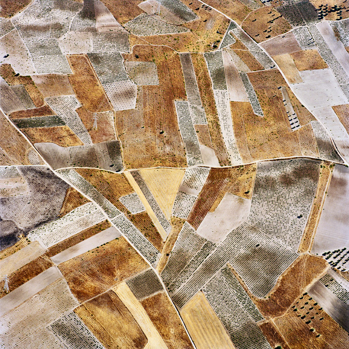 San Francisco : David Maisel, The Fall - The Eye of Photography Magazine