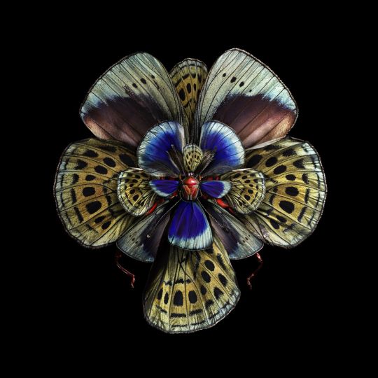 Seb Janiak : Mimesis - The Eye of Photography Magazine