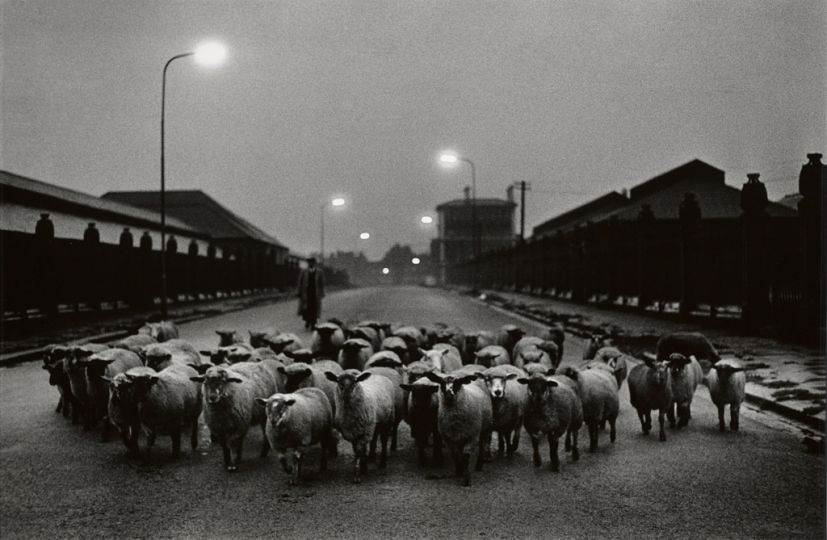 Photo London 2016 : Don McCullin - The Eye of Photography Magazine