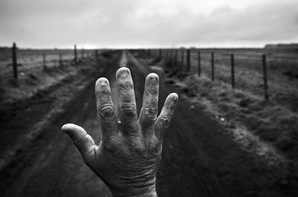 Arles 2016 : Times Lines, Order & Disorder - The Eye of Photography ...