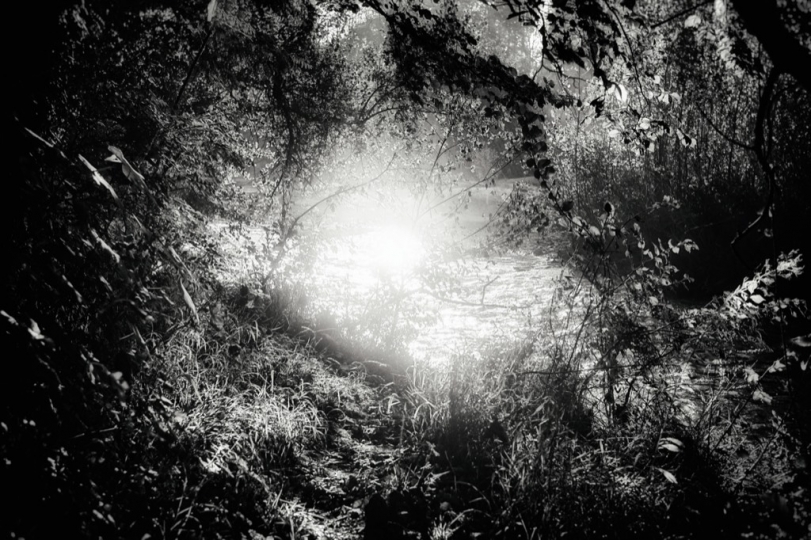 Louis Jammes, Migrations - The Eye of Photography Magazine