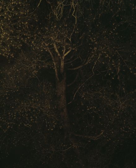 Assaf Shoshan’s nocturnal escapes - The Eye of Photography Magazine