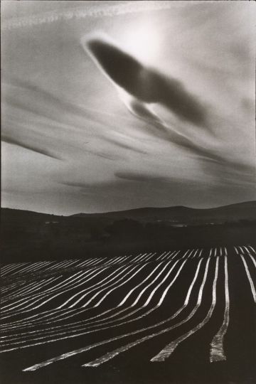 The Discerning Eye: the sale of Eric Franck’s collection - The Eye of ...