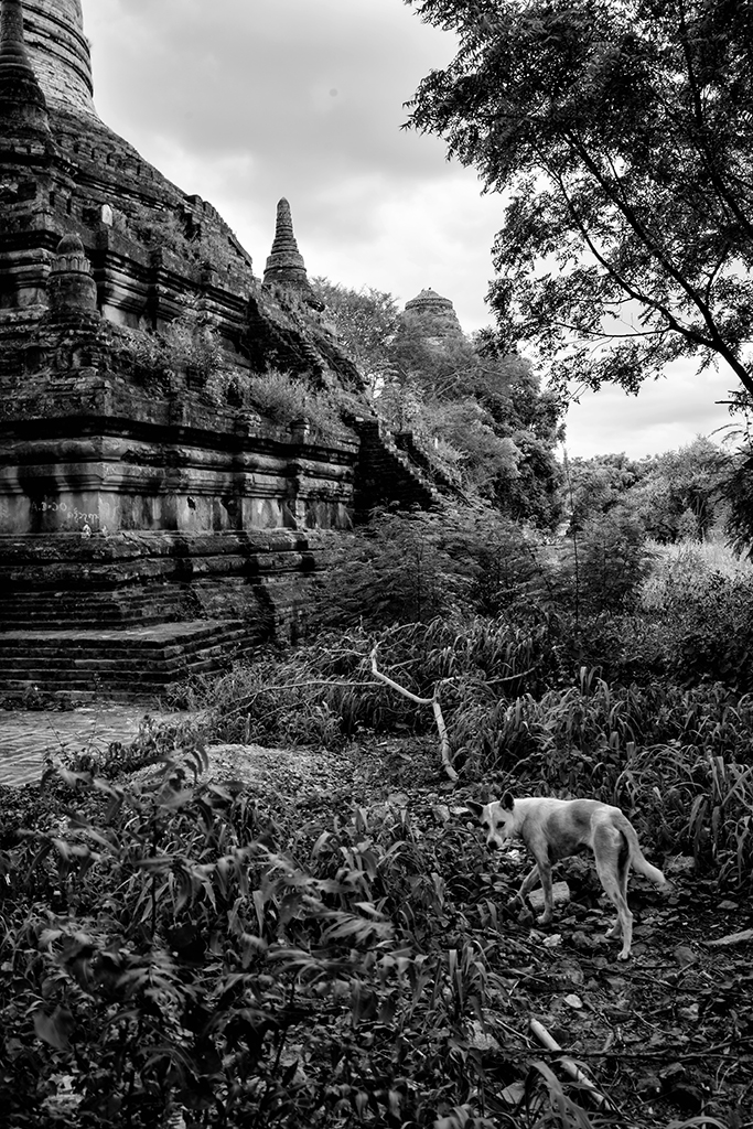 Martine Henry, Circularity - Monks, nuns and Pagodas tape - The Eye of ...