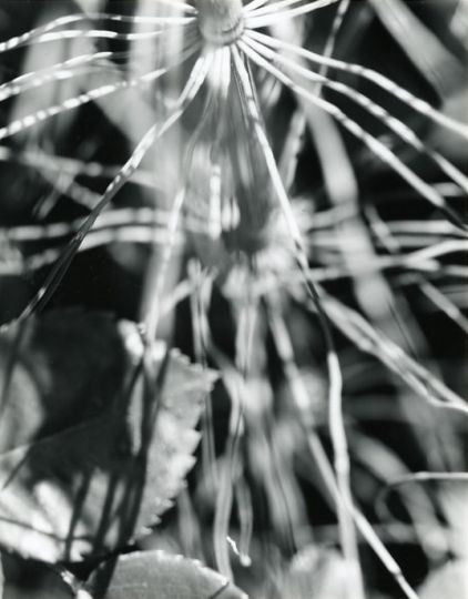 Rose Mandel, Un sentiment d’abstraction - L'Œil de la Photographie Magazine