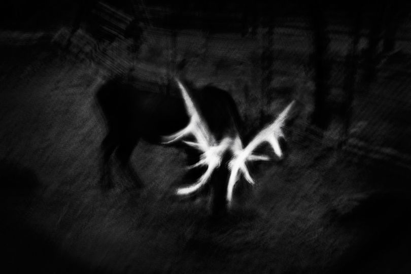 La Crète onirique de Yorgos Yatromanolakis - L'Œil de la Photographie ...