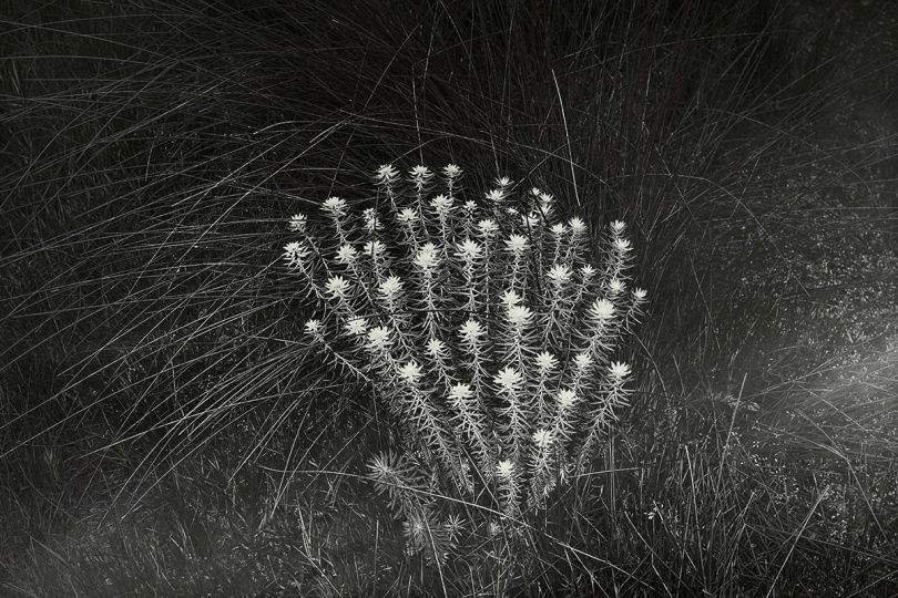 La Crète onirique de Yorgos Yatromanolakis - L'Œil de la Photographie ...