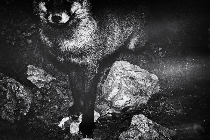 La Crète onirique de Yorgos Yatromanolakis - L'Œil de la Photographie ...