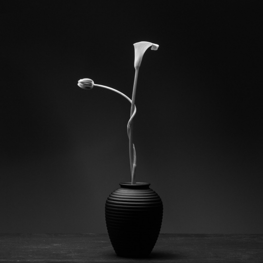Best Of 2018 - Frédéric Martin, Love is beautiful - The Eye of ...