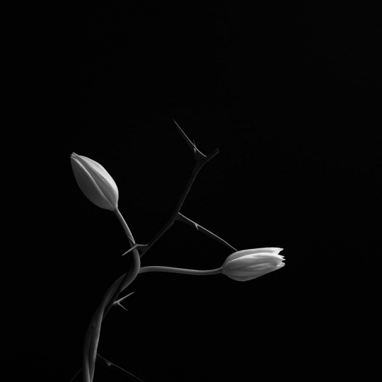 Best Of 2018 - Frédéric Martin, Love is beautiful - The Eye of ...