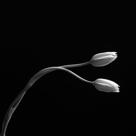 Best Of 2018 - Frédéric Martin, Love is beautiful - The Eye of ...