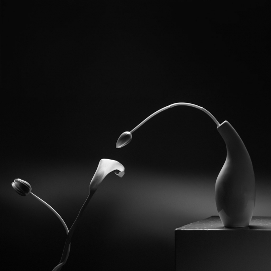 Best Of 2018 - Frédéric Martin, Love is beautiful - The Eye of ...