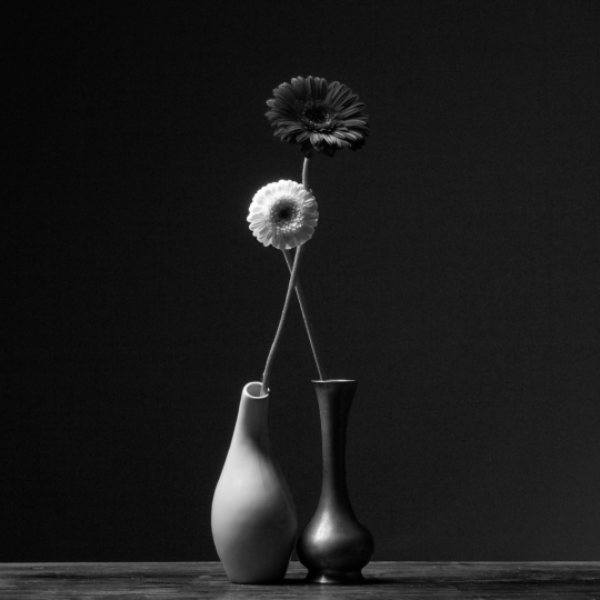 Best Of 2018 - Frédéric Martin, Love is beautiful - The Eye of ...