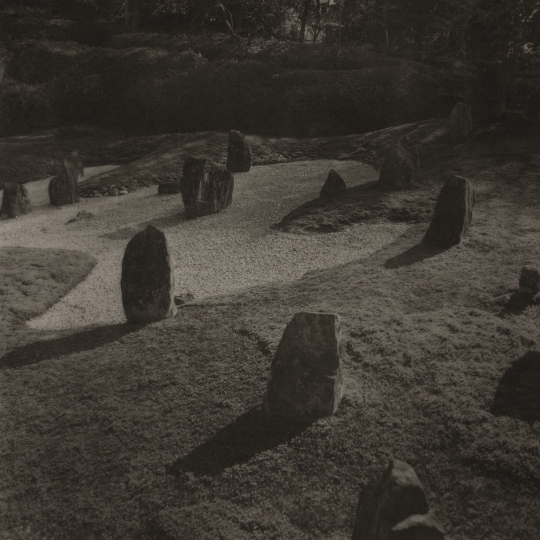 The contemplative nature photographs of Takeshi Shikama - The Eye of ...