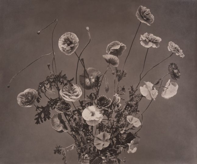 Adolphe Braun, photographic escapes - The Eye of Photography Magazine