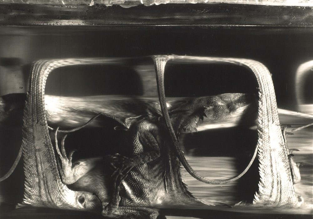 Photography experiments with 10 photographers and their original worlds ...