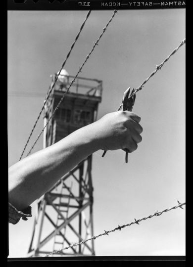 Images of the internment of Japanese Americans during the Second World ...