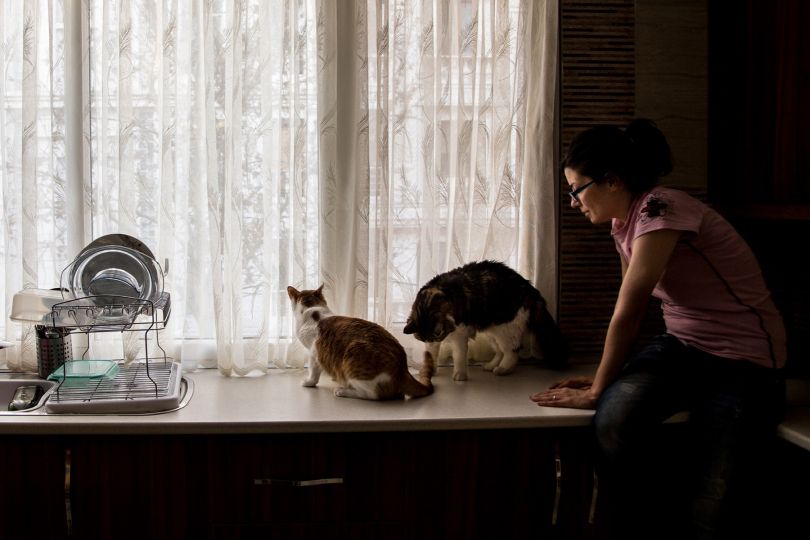 Overcoming loneliness with animals, by Nazanin Tabatabaee - The Eye of ...