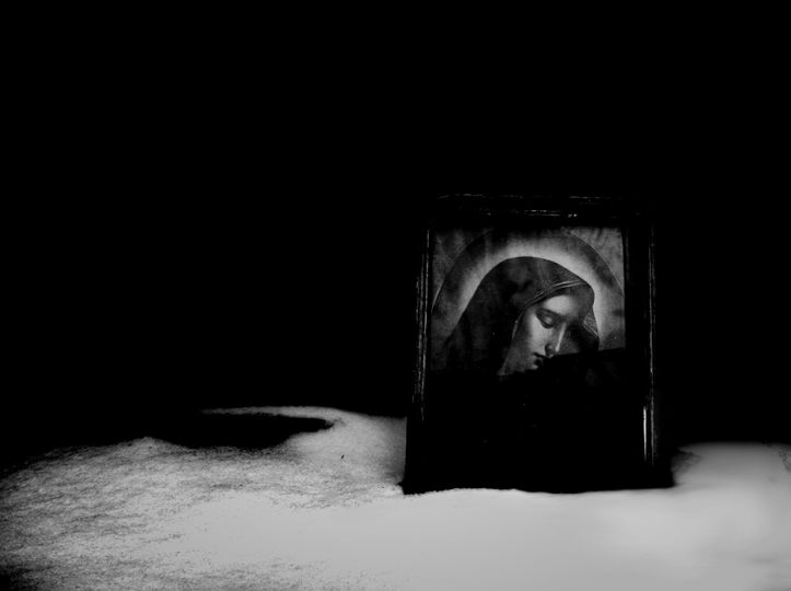 Monika K. Adler – 'Coyote' - The Eye of Photography Magazine